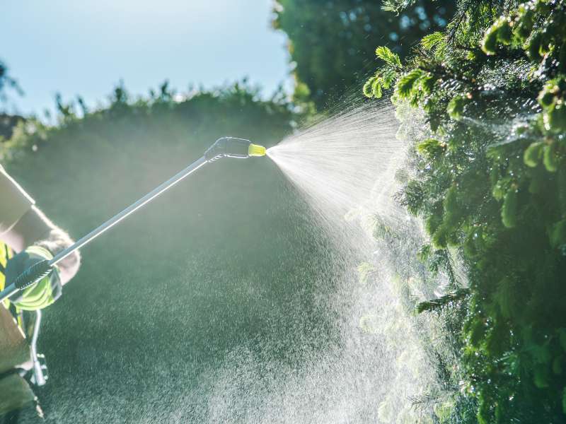 Chemical Insecticides | Aozun Yazhou Chemical Bulk Chemicals China Supplier