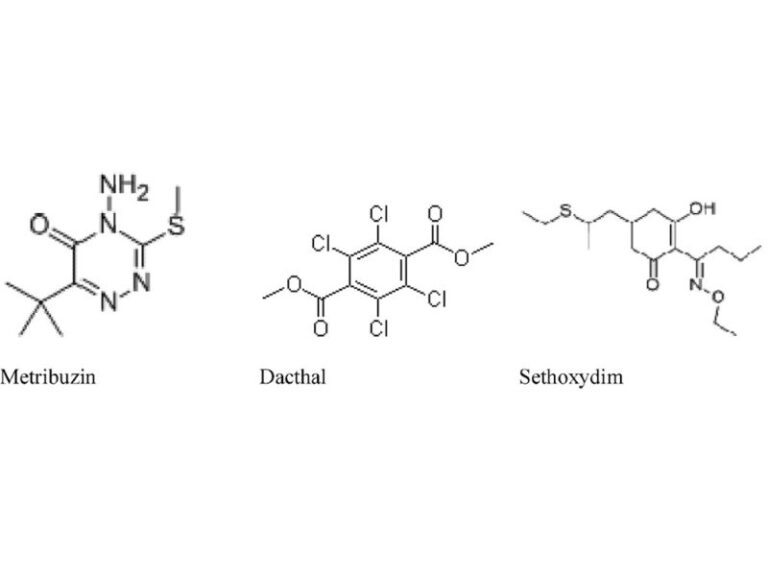 The Difference Between Polar Protic And Aprotic Solvents | Aozun Yazhou ...