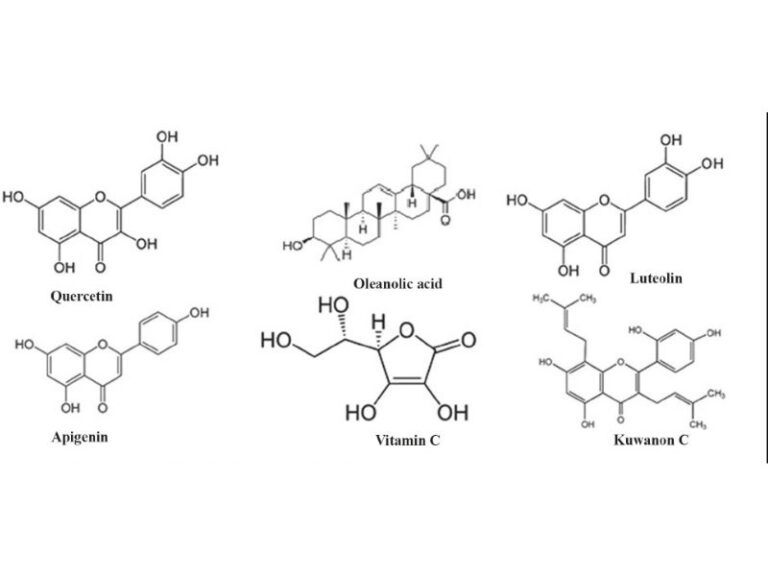 The Difference Between Polar Protic And Aprotic Solvents | Aozun Yazhou ...
